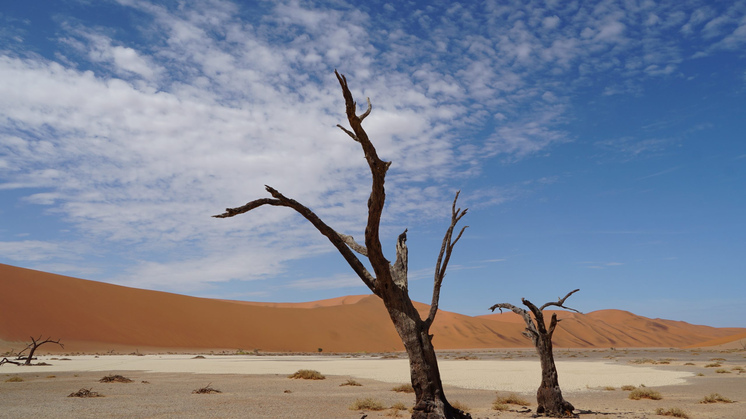 Southern Namibia Self-Drive Tour – 14 Days